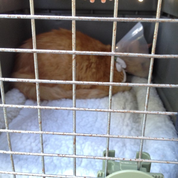 Photos at Gasing Veterinary Hospital - Veterinarian in Petaling Jaya