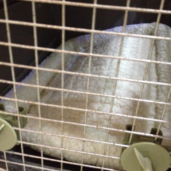 Photos at Gasing Veterinary Hospital - Veterinarian in Petaling Jaya