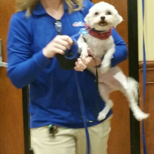 Photos at PetSmart Corporate Headquarters - Office in Phoenix