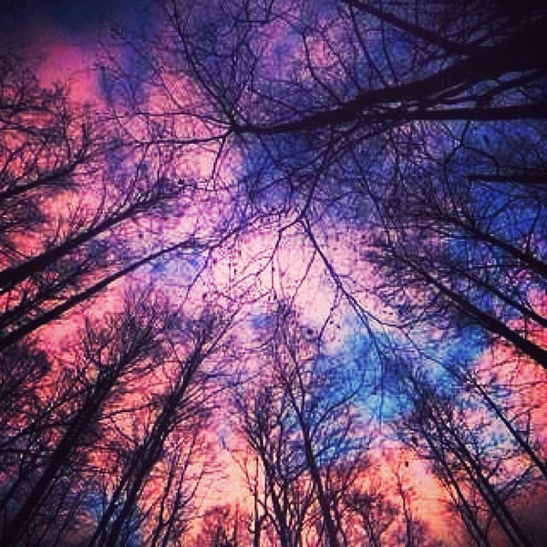 Taylor Ranch library - Taylor Ranch - 7 tips from 192 visitors