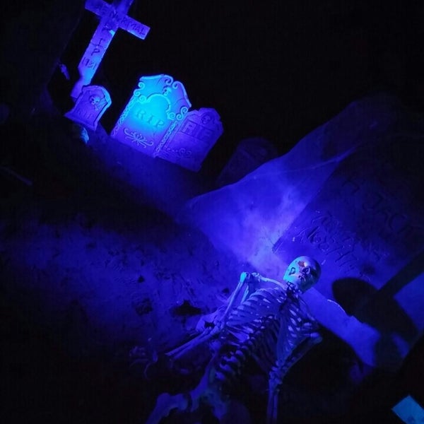 Smugglers Adventure - History Museum in Hastings