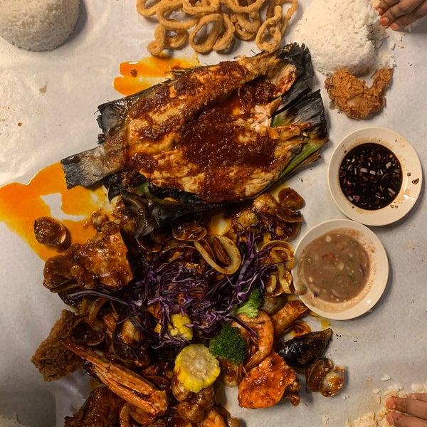 shell out fizzy cafe - Ella Glover