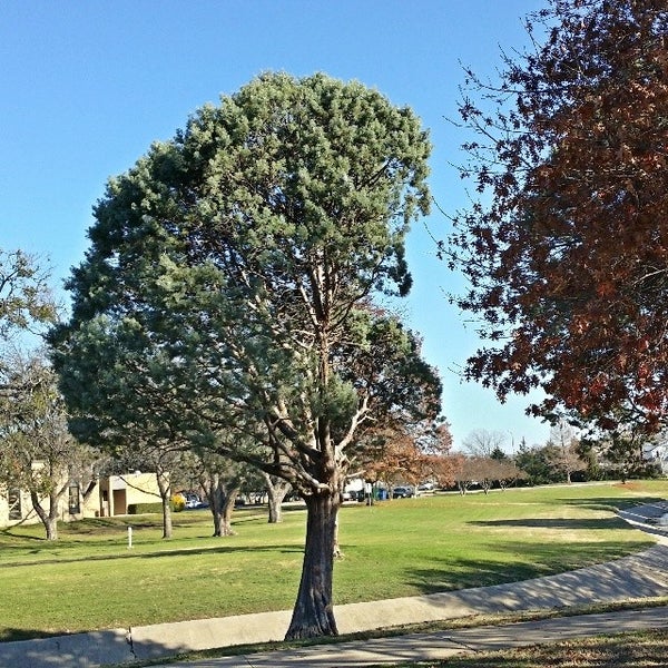 Photos at Emily Fowler Central Library - Denton, TX