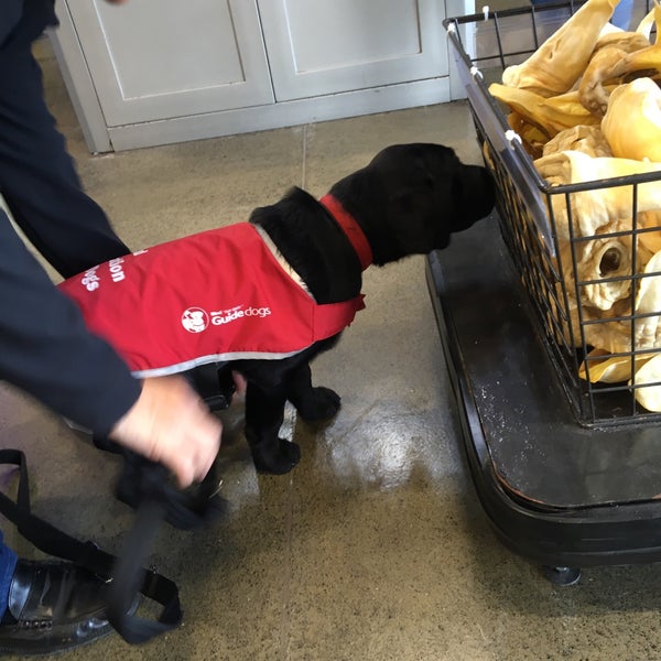 Animates - Pet Supplies Store