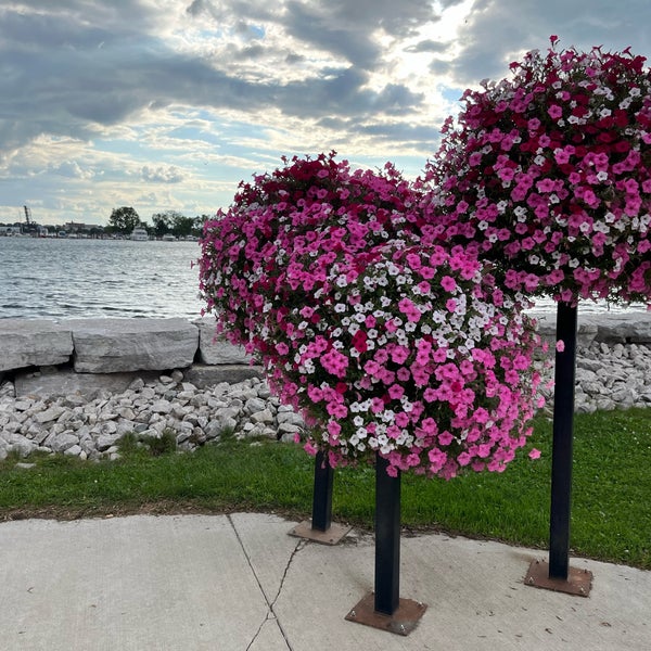 Centennial Park - 8 tips from 179 visitors