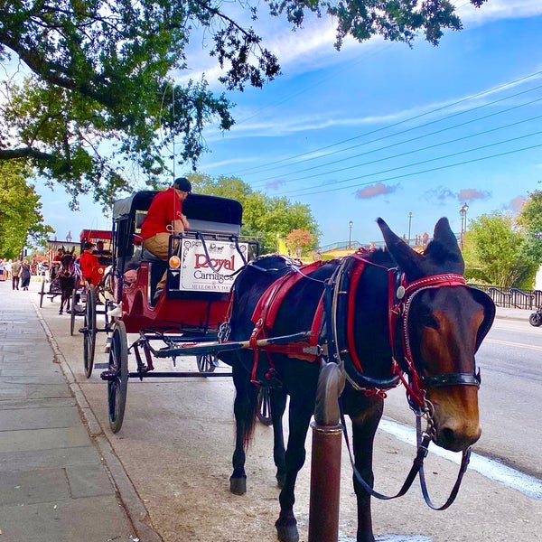 French Quarter Horse Carriage Ride - French Quarter - New Orleans, LA