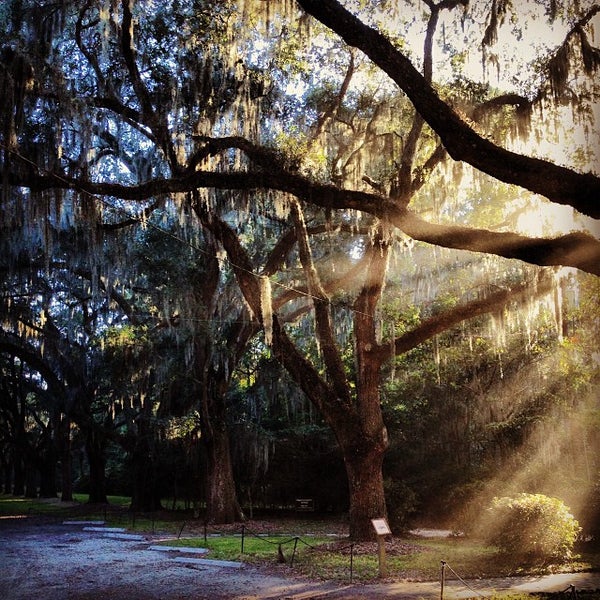 Photos at Isle of Hope - Harbor or Marina in Savannah