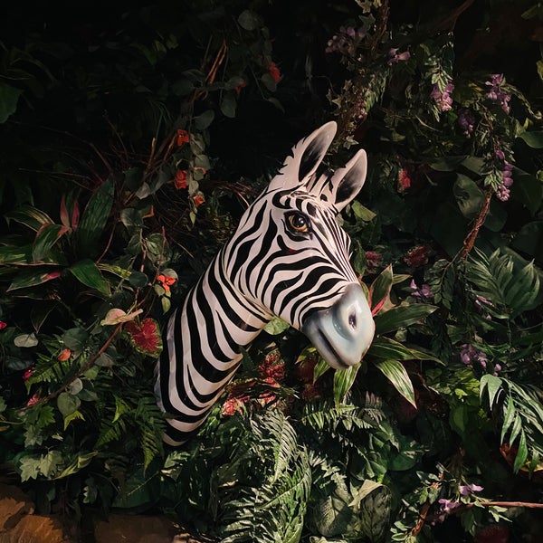 Photos at Rainforest Cafe - Sawgrass Mills - 59 tips