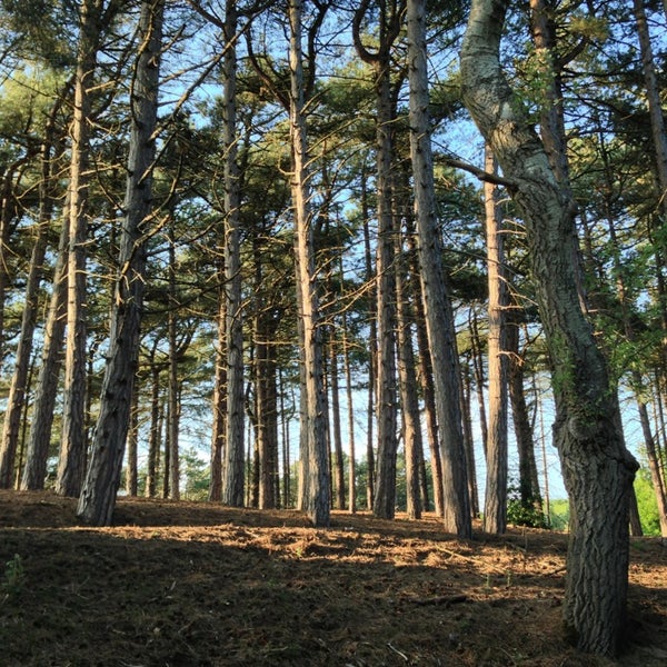 Formby Railway Station (FBY) - Formby, Sefton