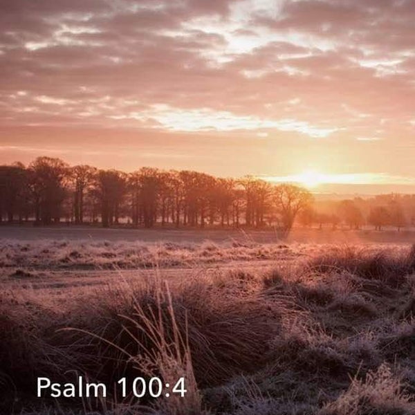 Stonebridge Ranch - Stonebridge Ranch - McKinney, TX
