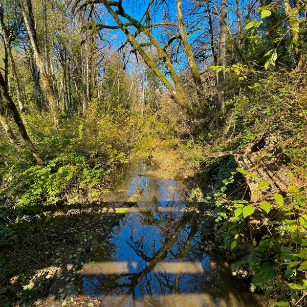Tryon Creek State Park - State or Provincial Park in Portland