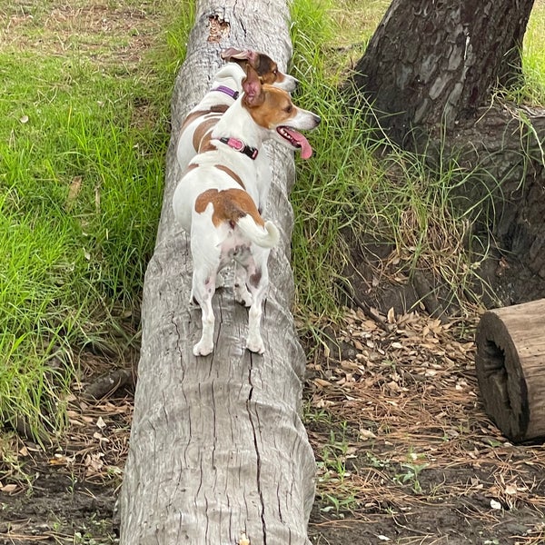 Keurboom Park - Playground in El Cabo