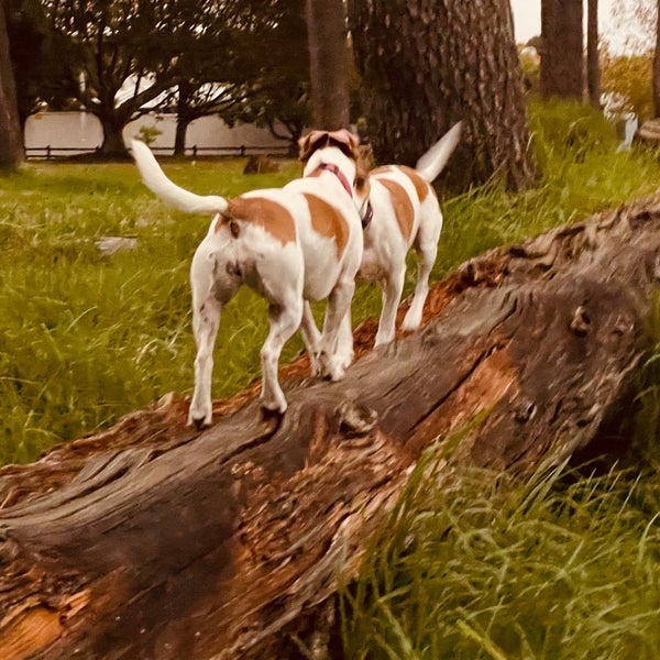 Keurboom Park - Playground in El Cabo