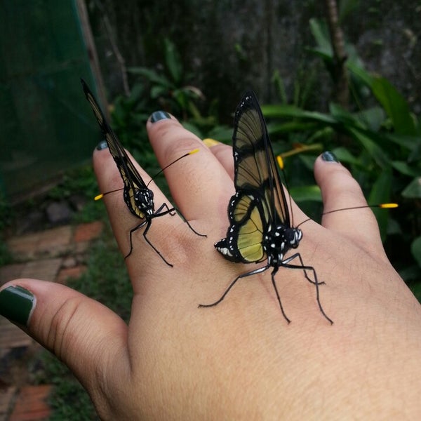 Pilpintuwasi - Nature Preserve