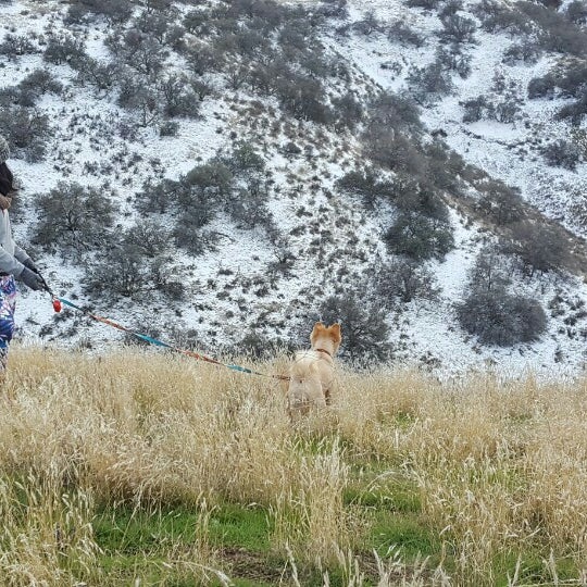 Wind Wolves Preserve - 3 tips from 37 visitors