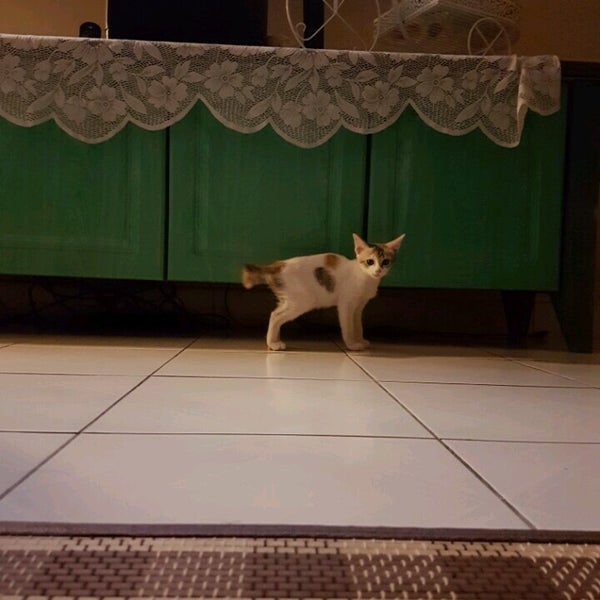 LFS Cinemas - Perling Mall