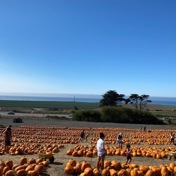 Rodoni Farms Pumpkin Patch - 102 visitors