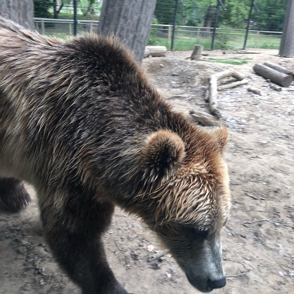 Dakota Zoo - Bismarck, ND