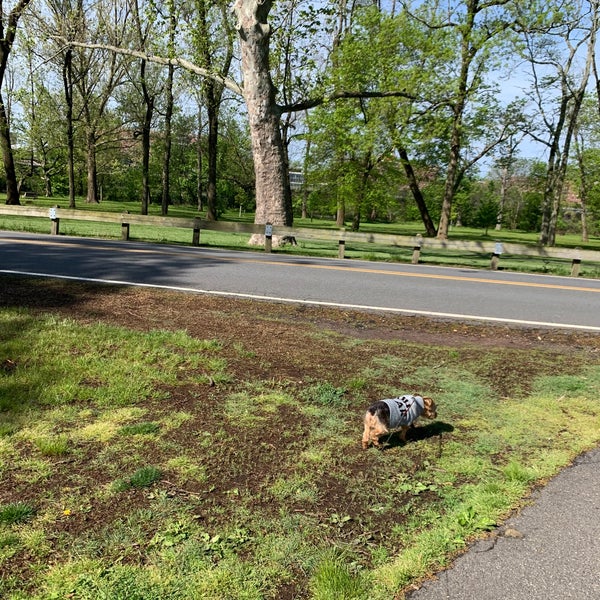 Johnson Park - Piscataway, NJ