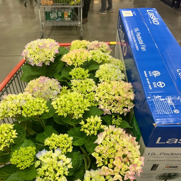 Photos at Costco - Warehouse or Wholesale Store in Edison