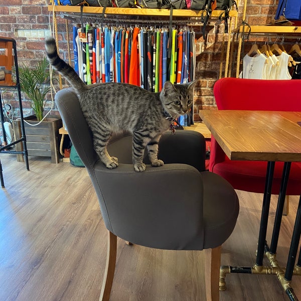 Giant Stride - 11 tips