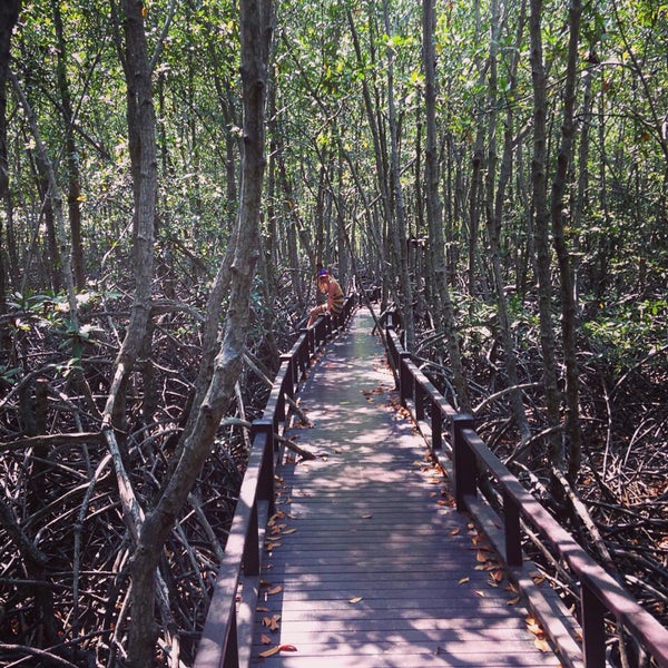 Pranburi National Forest Park - National Park