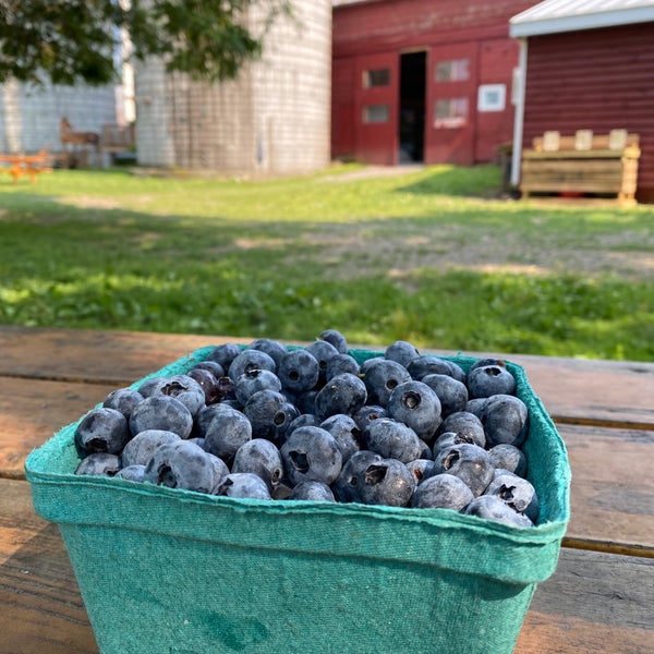 Greig's Farm - 7 tips from 544 visitors