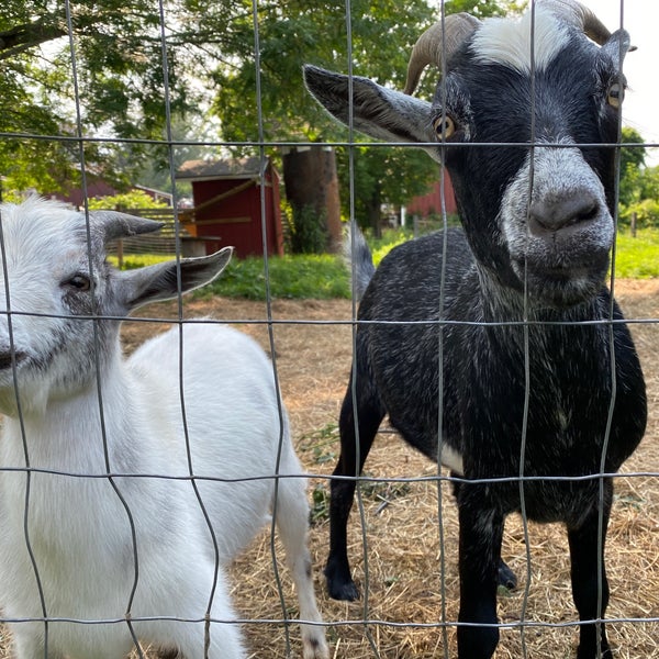 Greig's Farm - 7 tips from 544 visitors
