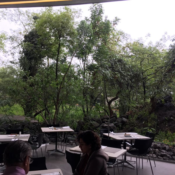 Cafetería MUAC - Circuito Universitari
