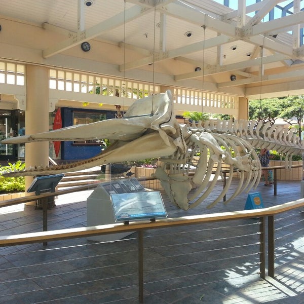 Whaler's Village Whale Museum - 6 tips