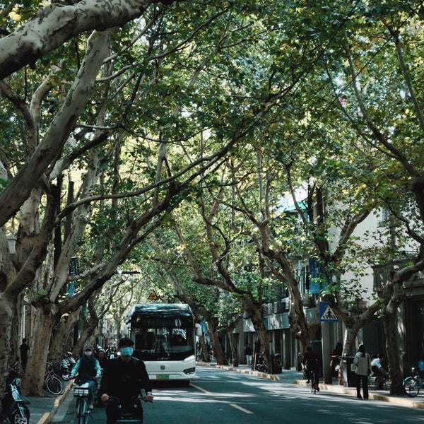 Yuyuan Road (愚园路) - Road in Changning