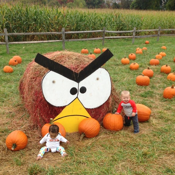 Johnny Appleseed Farm - 2 tips