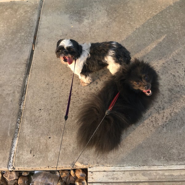 Rusty Taco (Now Closed) - Dallas, TX