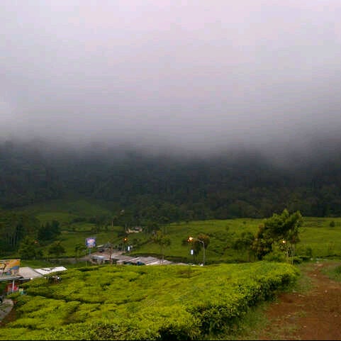 Rindu Alam - Puncak Pass - Bogor, Jawa Barat