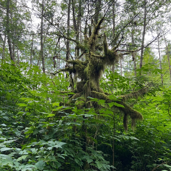 Sitka National Historical Park - Sitka, AK