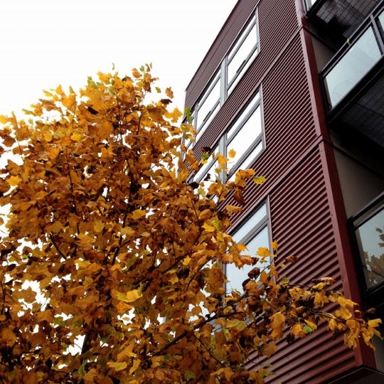 Circa Greenlake Apartments - Building in Seattle