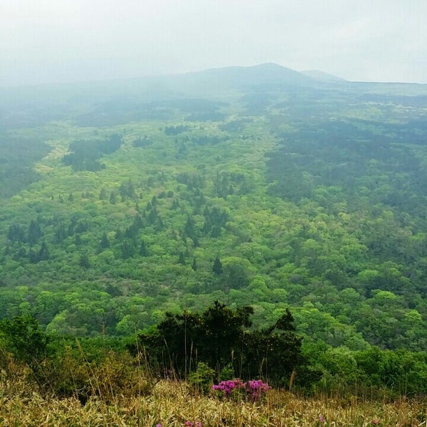 Photos at 노꼬메오름 - 제주시, 제주특별자치도