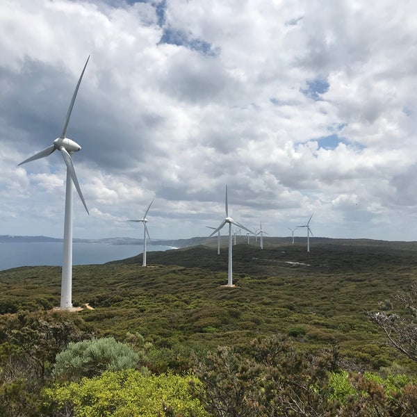 Albany Wind Farm - 5 tips from 306 visitors