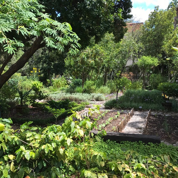 Hortus Botanicus (Stellenbosch University Botanical Garden) - Botanical ...