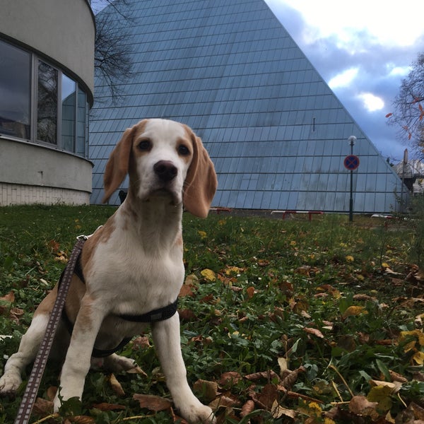 Pyramida | GoJa Music Hall - Praha 7 - Praha, Hlavní město Praha