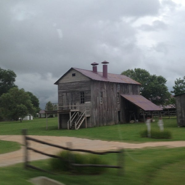 Frogmore Cotton Plantation - Farm in Frogmore