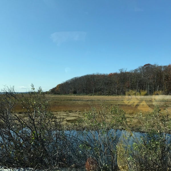 Zeek's Creek Bait & Tackle - Fish Market