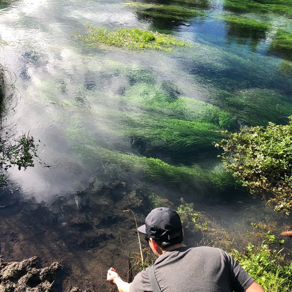 Te Waihou Walkway - Tapapa, Waikato