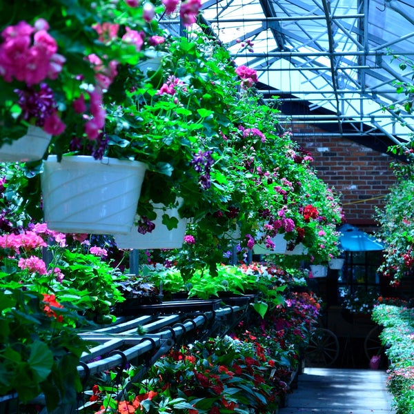 Simmons Farm Rt.19 Market - 4 tips