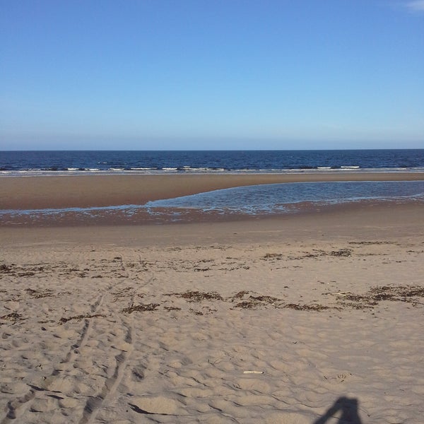 Spittal Beach - Beach