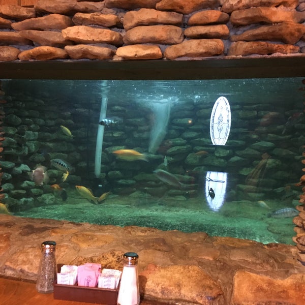 Fin Inn - 1 tip from 173 visitors