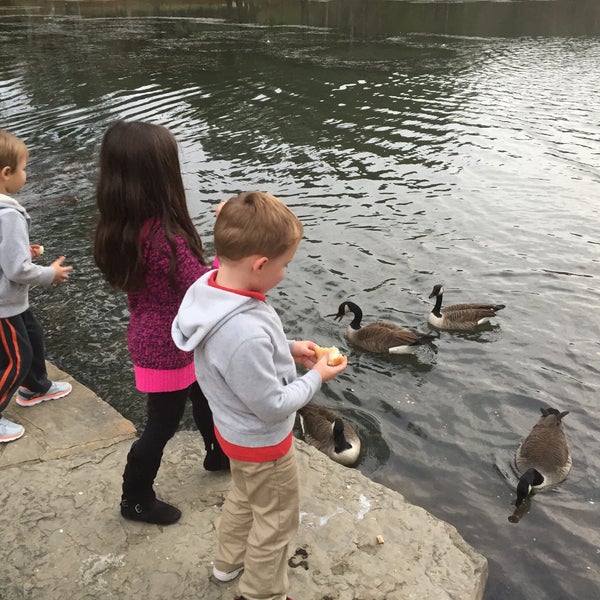 Photos at Sims Lake Park - Park