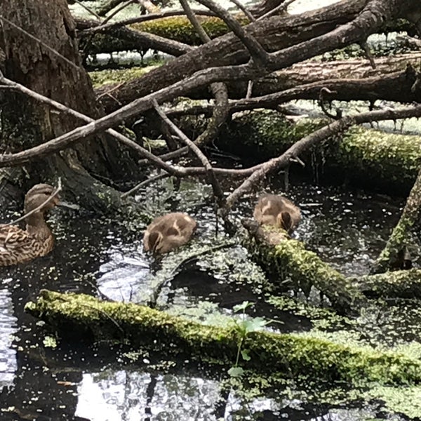 Photos at Rosland Park - Edina, MN