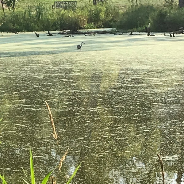 Photos at Rosland Park - Edina, MN