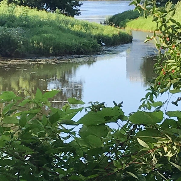 Normandale Lake Park - Lake in West Bloomington